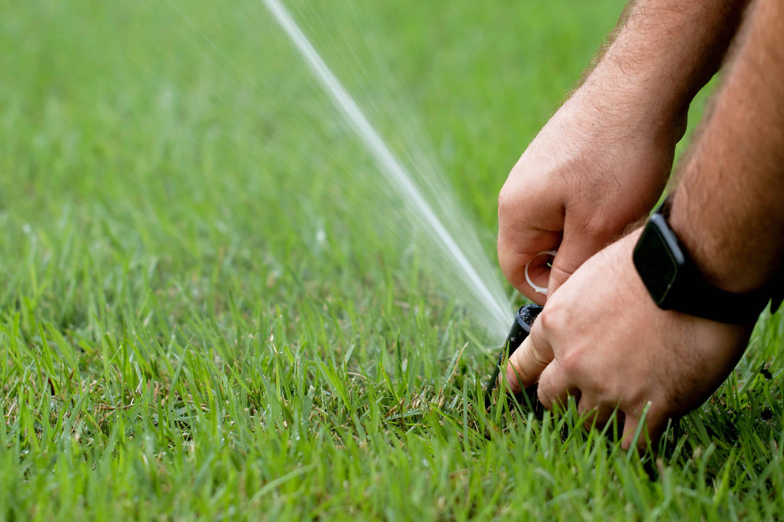 Do’s and Don’ts of Landscape Irrigation | SkyFrog Landscape