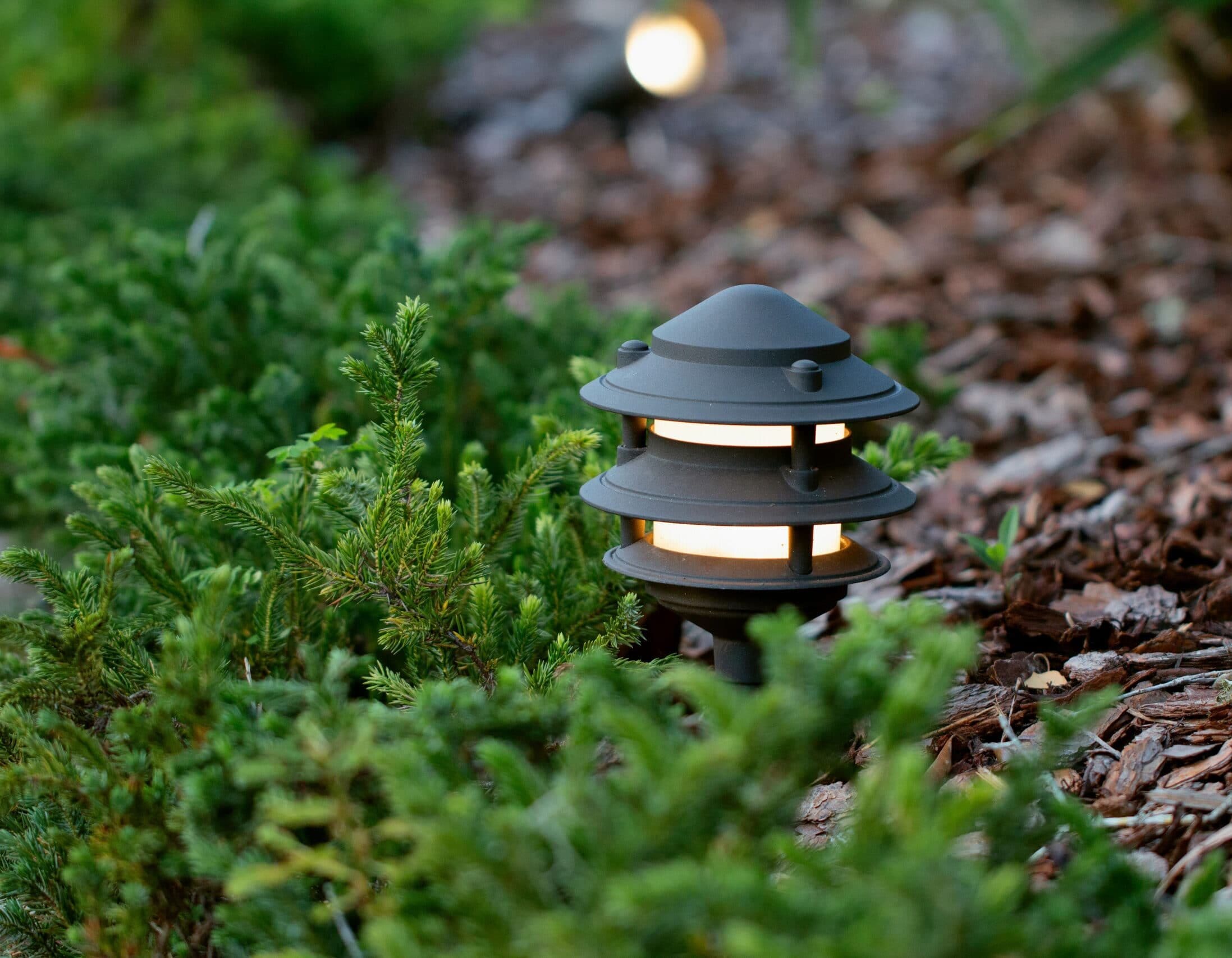 Light Up Your Lawn: A Guide to Landscape Lighting | SkyFrog Landscape